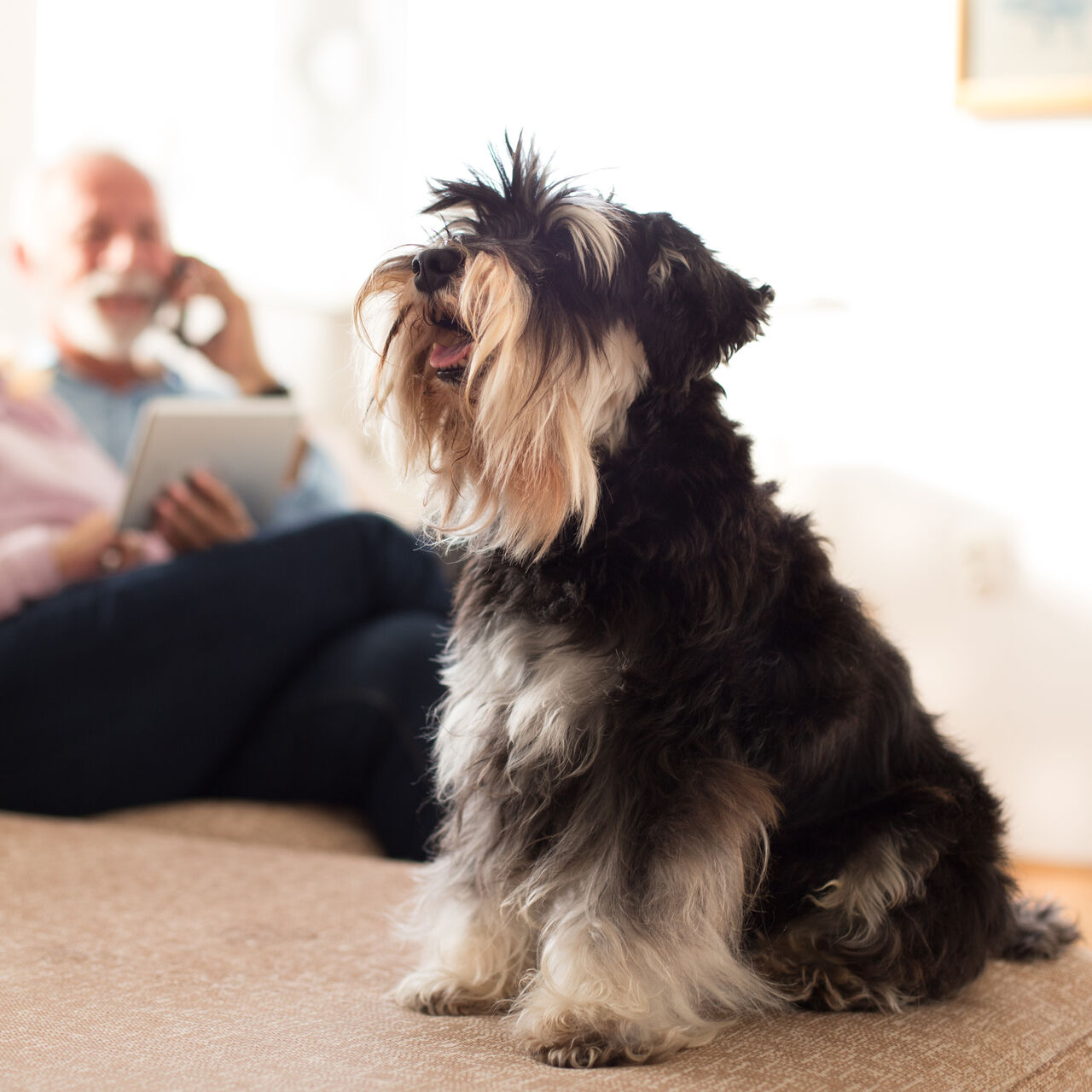 BreastScreen SA • Breast Cancer Screening in South Australia
